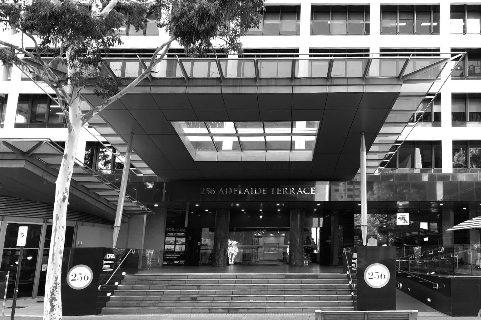 Retail Design & Construction Management