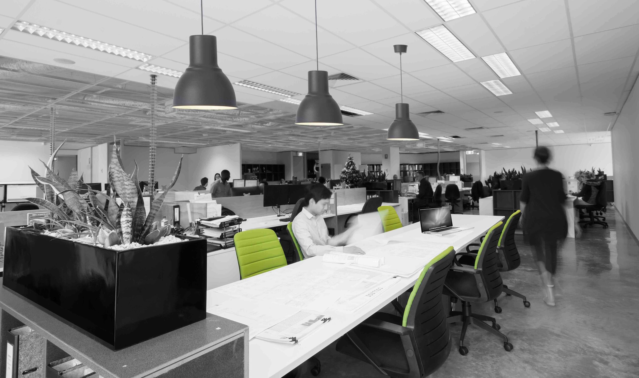 About - TRG Australia